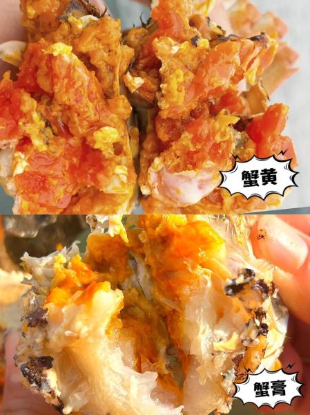 蟹黄和蟹屎位置图解_如何快速区分蟹黄与蟹屎-第3张图片-山城妙识