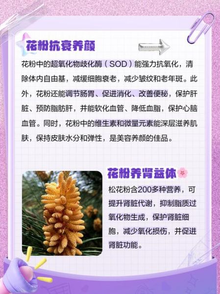 花粉长期吃伤肝肾吗_如何安全服用-第1张图片-山城妙识