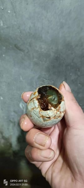 松花蛋什么人不能吃_孕妇能吃松花蛋吗-第2张图片-山城妙识