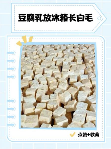 夏天做豆腐乳的方法_豆腐乳长白毛还能吃吗-第1张图片-山城妙识