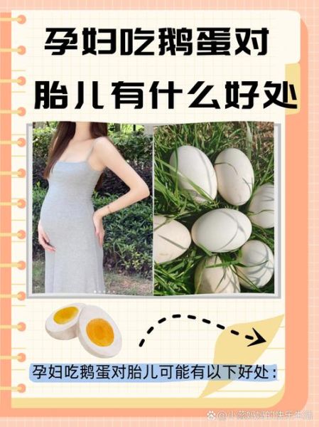 孕妇几个月开始吃鹅蛋_吃鹅蛋对胎儿有什么好处-第1张图片-山城妙识