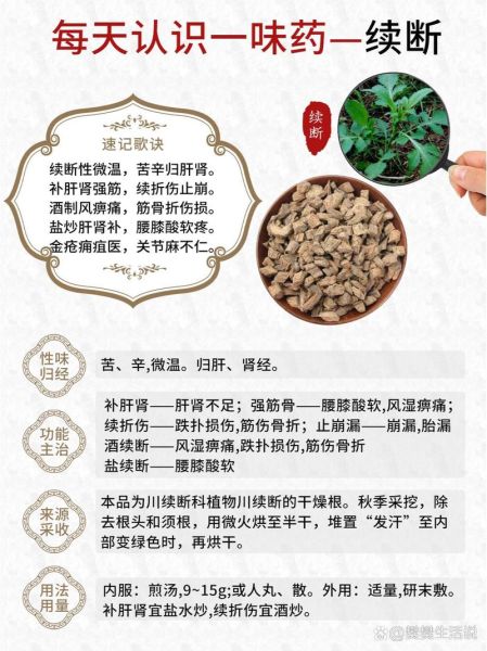 续断的功效与作用_续断主治哪些病-第2张图片-山城妙识
