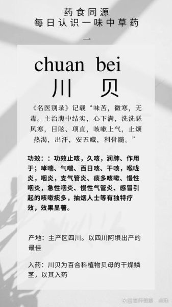 川贝的功效与作用禁忌_川贝的正确食用方法-第1张图片-山城妙识