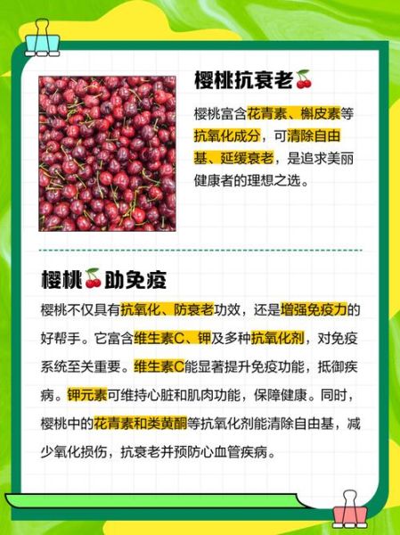 樱桃的功效与作用_吃樱桃有什么好处-第2张图片-山城妙识