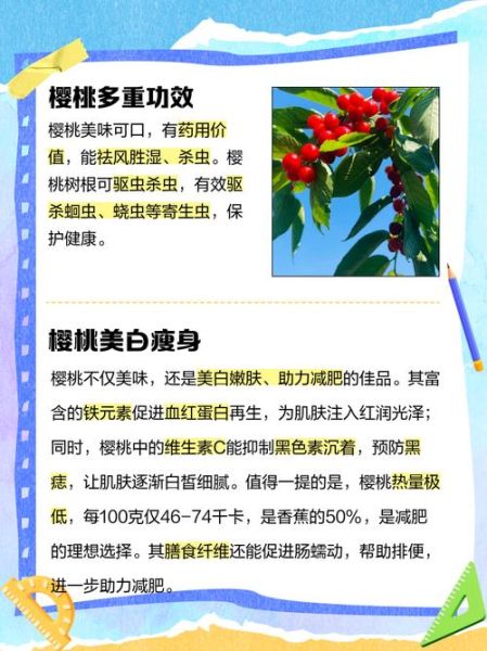 樱桃的功效与作用_吃樱桃有什么好处-第3张图片-山城妙识