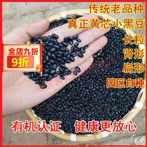 黑眉豆的功效与作用_黑眉豆怎么吃最养肾-第1张图片-山城妙识