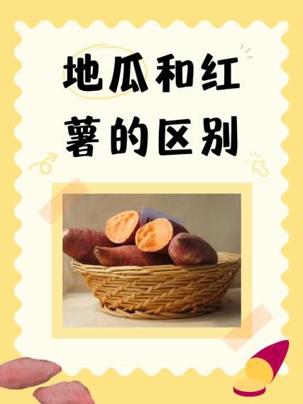 红薯是地瓜吗_红薯和地瓜的区别-第1张图片-山城妙识