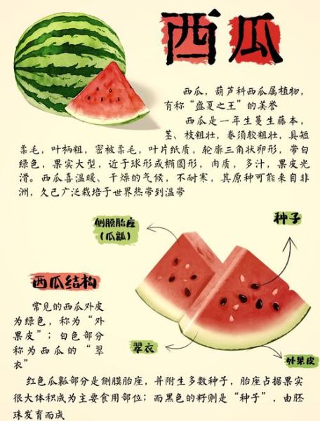 西瓜的功效与作用及食用方法_西瓜怎么吃最健康-第1张图片-山城妙识