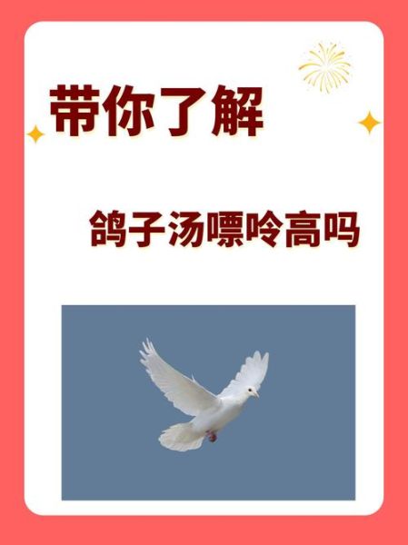 什么病不能喝鸽子汤_痛风能吃吗-第3张图片-山城妙识