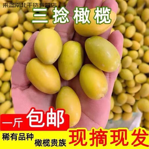 三捻橄榄多少钱一斤_三捻橄榄价格走势-第1张图片-山城妙识