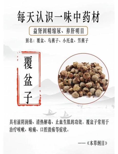 覆盆子什么人不能吃_覆盆子禁忌人群有哪些-第1张图片-山城妙识