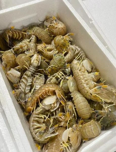 爬爬虾怎么清洗_爬爬虾怎么做好吃-第2张图片-山城妙识