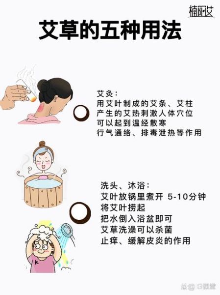 艾草的功效和作用_艾叶可食用吗-第1张图片-山城妙识 艾草的功效和作用_艾叶可食用吗-第1张图片-山城妙识