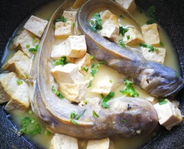 海鲶鱼怎么做好吃_海鲶鱼的做法大全-第2张图片-山城妙识