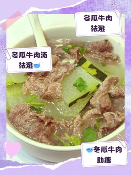 牛肉冬瓜炖汤怎么做_牛肉冬瓜炖汤的功效与禁忌-第3张图片-山城妙识