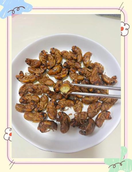 油炸知了的功效与作用_孕妇能吃吗-第3张图片-山城妙识