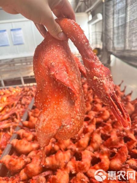 百济芝麻鸭哪里买_百济芝麻鸭做法-第2张图片-山城妙识 百济芝麻鸭哪里买_百济芝麻鸭做法-第2张图片-山城妙识