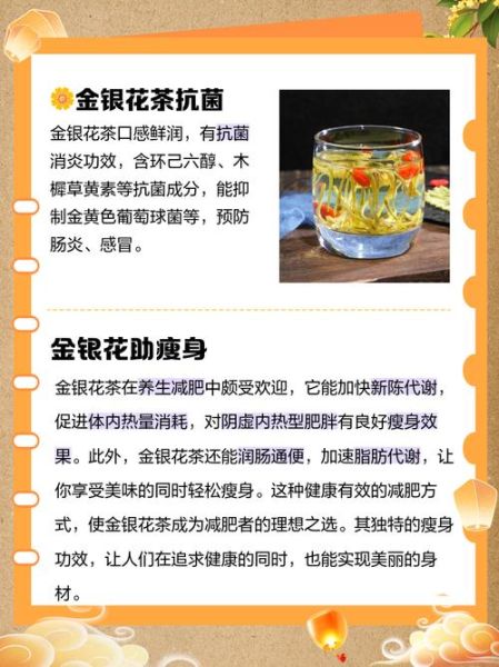 喝金银花茶有什么好处_金银花茶的功效与作用-第3张图片-山城妙识