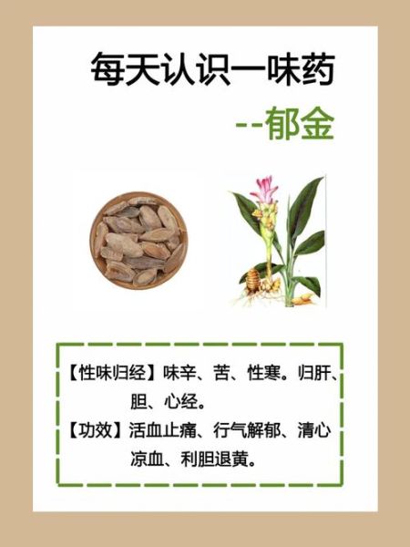 郁金的功效与作用有哪些_郁金图片怎么辨别真假-第2张图片-山城妙识