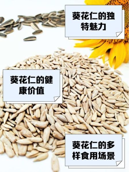 葵花籽仁的营养价值_每天吃多少合适-第1张图片-山城妙识