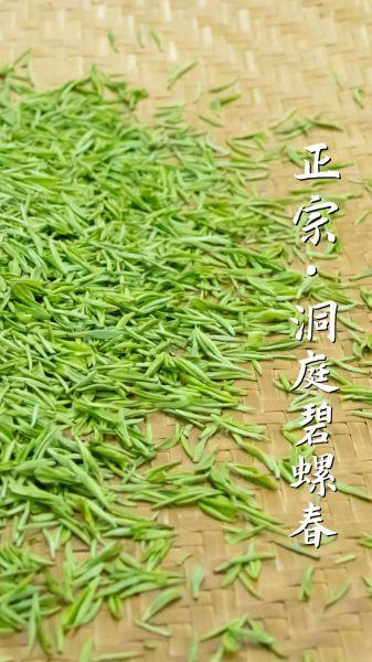 碧螺春茶叶图片怎么看真假_如何挑选正宗碧螺春-第2张图片-山城妙识