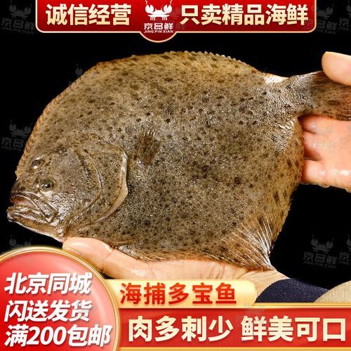 多宝鱼价格今日价_多宝鱼多少钱一斤-第2张图片-山城妙识 多宝鱼价格今日价_多宝鱼多少钱一斤-第2张图片-山城妙识