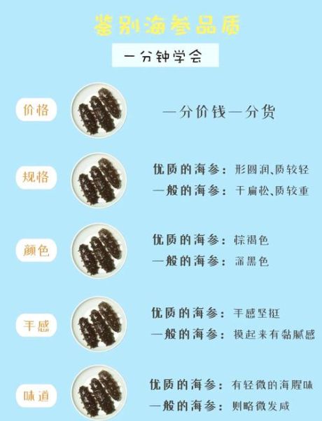 海参怎么挑选_海参好坏如何辨别-第1张图片-山城妙识