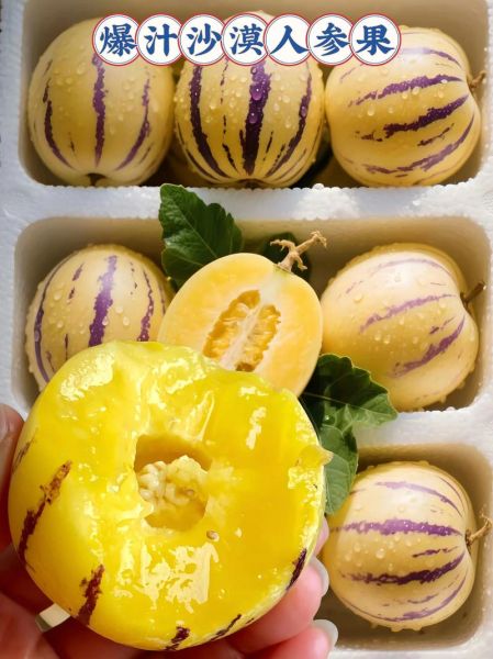 沙漠人参果的营养价值_沙漠人参果的功效与作用-第1张图片-山城妙识 沙漠人参果的营养价值_沙漠人参果的功效与作用-第1张图片-山城妙识