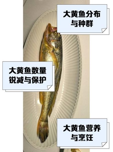 大黄鱼的营养价值及功效_孕妇能吃吗-第2张图片-山城妙识