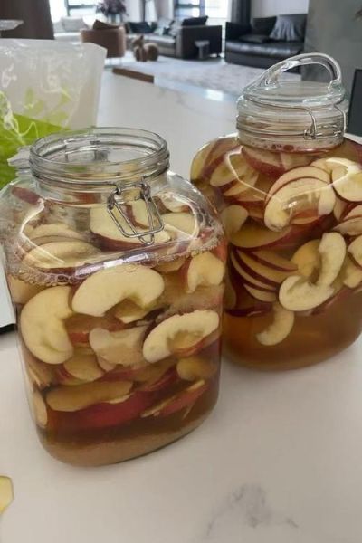 苹果醋怎么做_苹果醋发酵原理-第2张图片-山城妙识