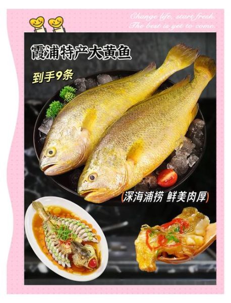 大黄鱼的营养价值及功效_孕妇能吃吗-第3张图片-山城妙识
