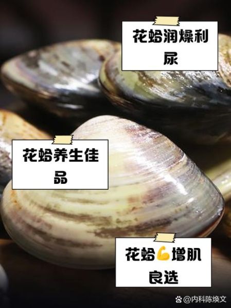 花蛤的蛤念ha还是ge_花蛤读音正确发音-第1张图片-山城妙识