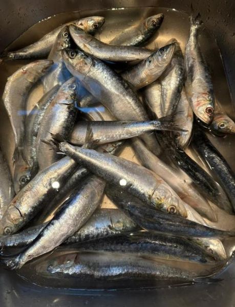 茄汁沙丁鱼罐头怎么做_茄汁沙丁鱼罐头做法-第3张图片-山城妙识 茄汁沙丁鱼罐头怎么做_茄汁沙丁鱼罐头做法-第3张图片-山城妙识