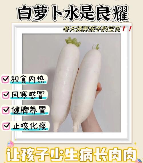 白萝卜和胡萝卜的功效与作用_哪个更适合冬天吃-第1张图片-山城妙识