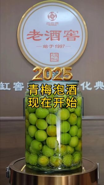 青梅酒怎么泡_青梅酒用什么酒泡最好-第1张图片-山城妙识 青梅酒怎么泡_青梅酒用什么酒泡最好-第1张图片-山城妙识