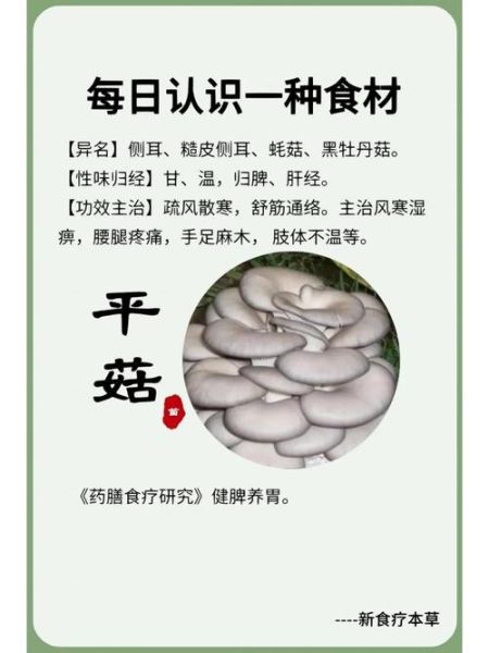 平菇的营养价值_平菇的功效与作用-第1张图片-山城妙识
