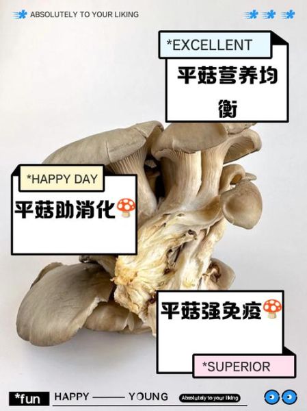 平菇的营养价值_平菇的功效与作用-第3张图片-山城妙识