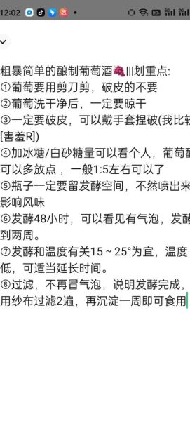 自制葡萄酒怎么做才好喝_家庭酿酒常见问题-第3张图片-山城妙识