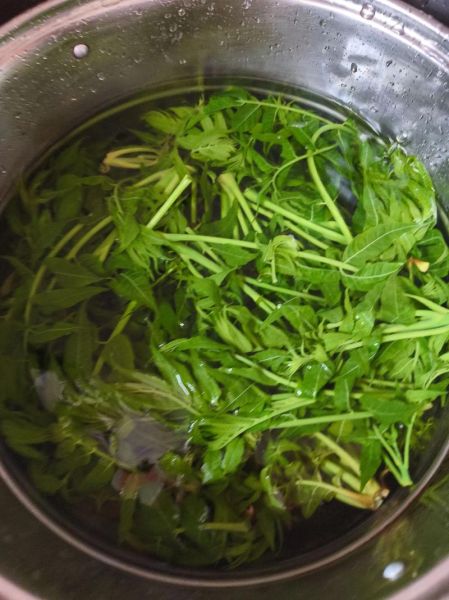 腌香椿芽怎么保存_腌香椿芽的做法视频-第1张图片-山城妙识 腌香椿芽怎么保存_腌香椿芽的做法视频-第1张图片-山城妙识