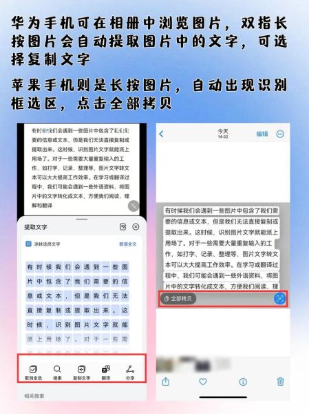 苹果手机图片转文字怎么操作_苹果手机图片转文字在哪里-第2张图片-山城妙识