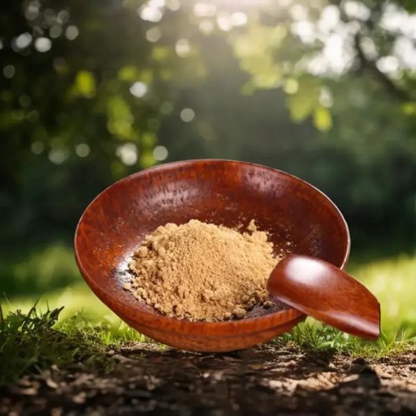 纳豆菌粉怎么吃_纳豆菌粉的功效与作用-第1张图片-山城妙识