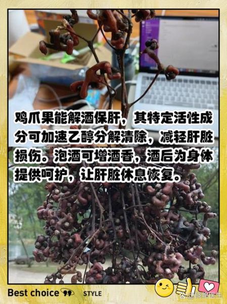 鸡爪梨泡酒方法_鸡爪梨泡酒比例是多少-第3张图片-山城妙识 鸡爪梨泡酒方法_鸡爪梨泡酒比例是多少-第3张图片-山城妙识