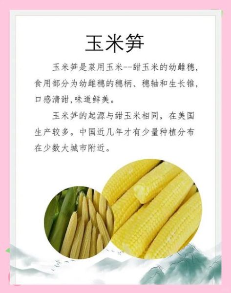 玉米笋怎么做好吃_玉米笋炒几分钟才脆嫩-第3张图片-山城妙识