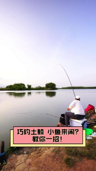 鲮鱼钓法技巧_钓鲮鱼用什么饵料最好-第2张图片-山城妙识