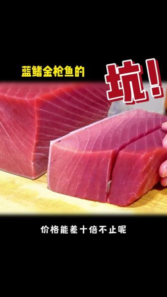 金枪鱼价格为什么波动_金枪鱼多少钱一斤-第3张图片-山城妙识