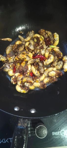 小蚕蛹怎么做_小蚕蛹怎么做好吃-第1张图片-山城妙识 小蚕蛹怎么做_小蚕蛹怎么做好吃-第1张图片-山城妙识