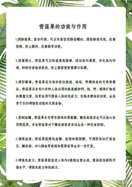 吃雪莲果的禁忌_雪莲果的功效与作用-第1张图片-山城妙识