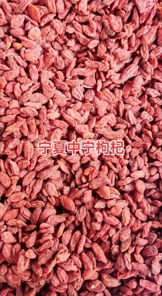 金菊花茶的功效与作用_金菊花茶适合什么人喝-第3张图片-山城妙识