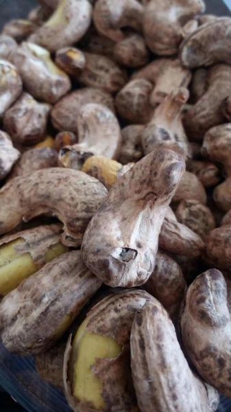 腰果价格多少钱一斤_腰果批发和零售价差多少-第2张图片-山城妙识