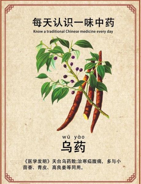 乌药的功效与作用及副作用_乌药可以长期吃吗-第1张图片-山城妙识